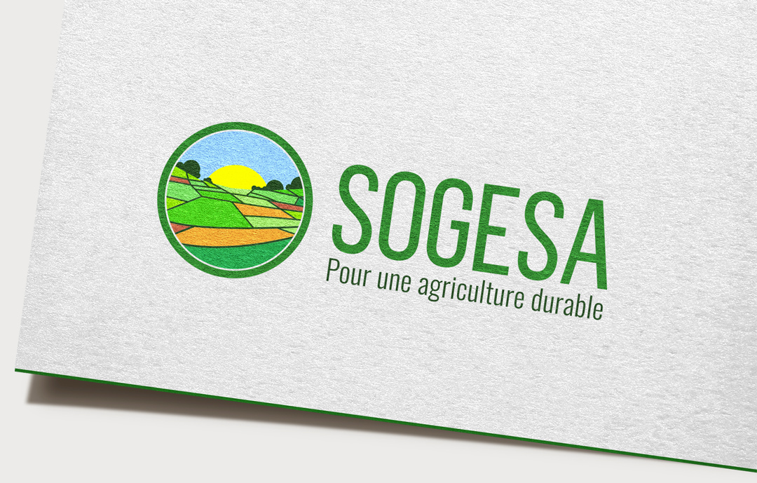 Graphiste indépendant Bruxelles créatif et rigoureux